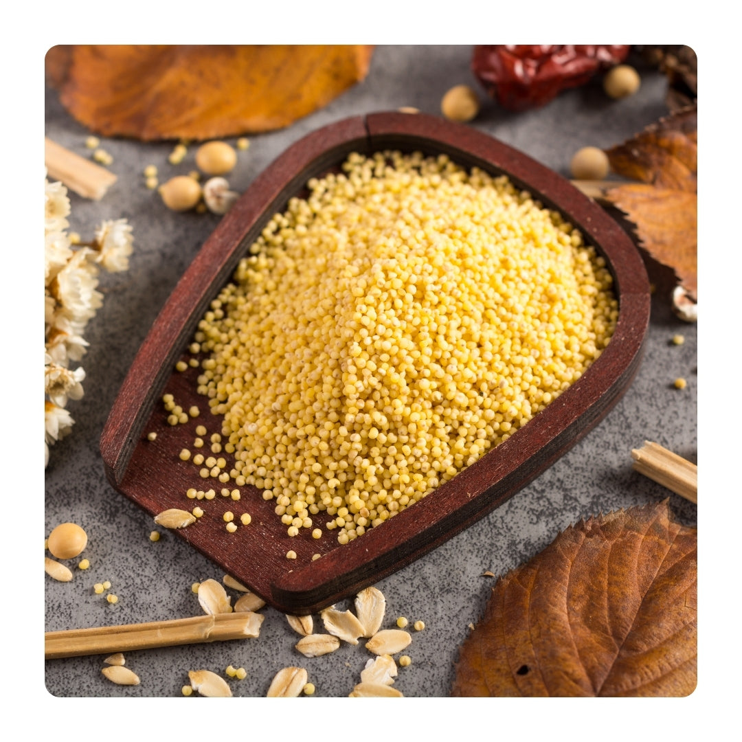 "Ingrano Shop: Discover quality products and seamless shopping all in ...